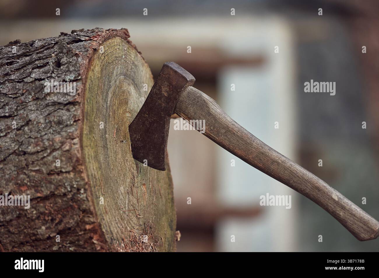 Axe in a log after throwing, logging Stock Photo - Alamy