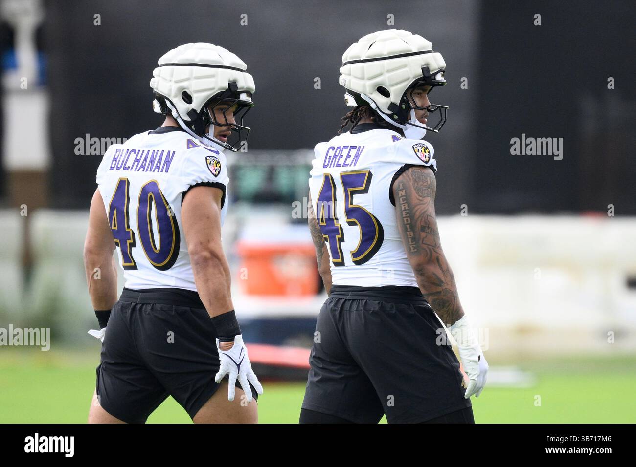 Baltimore Ravens linebacker Mike Green (45) and linebacker Teddye ...