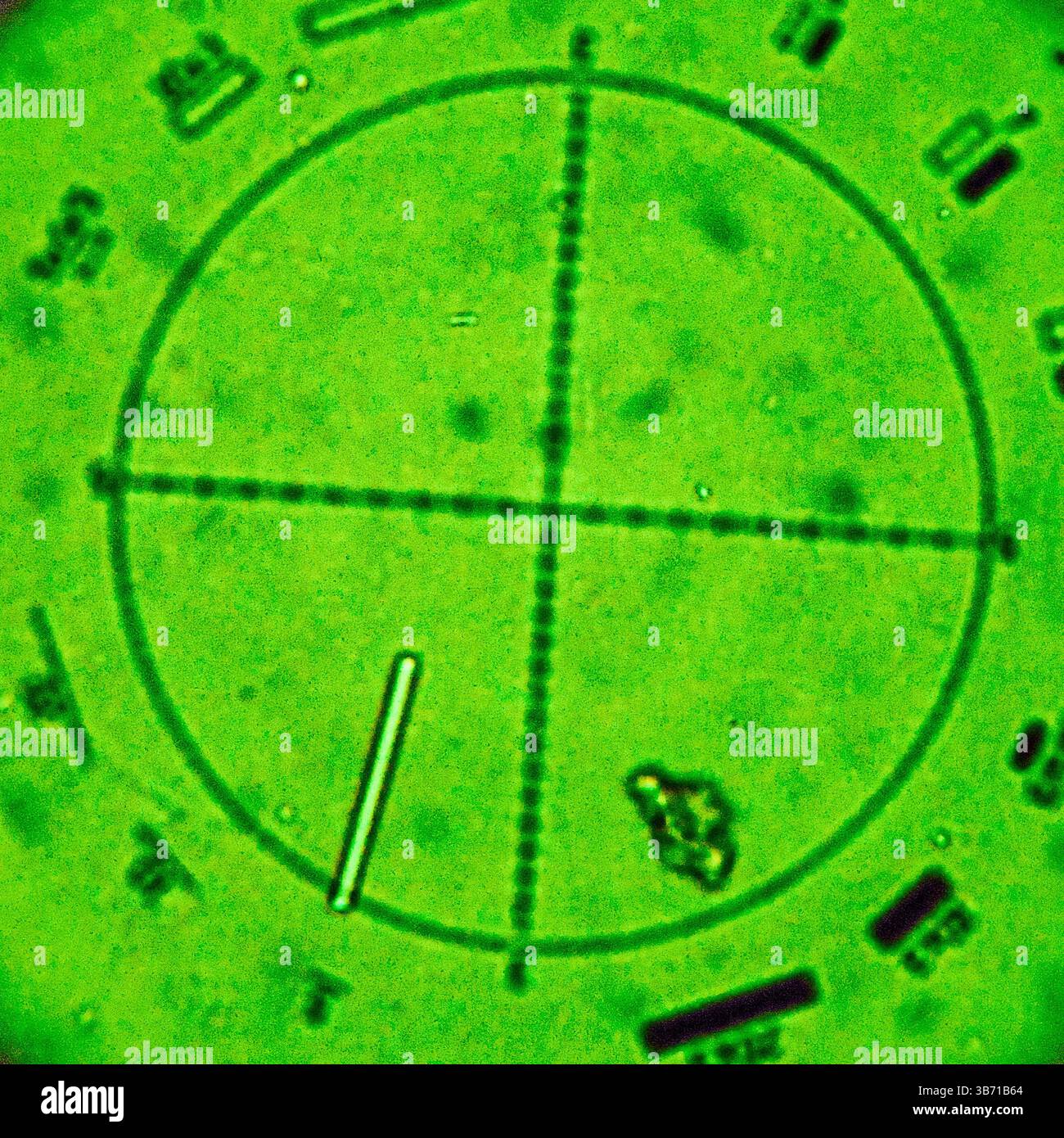 view of one asbestos fiber using PCM analysis Stock Photo - Alamy