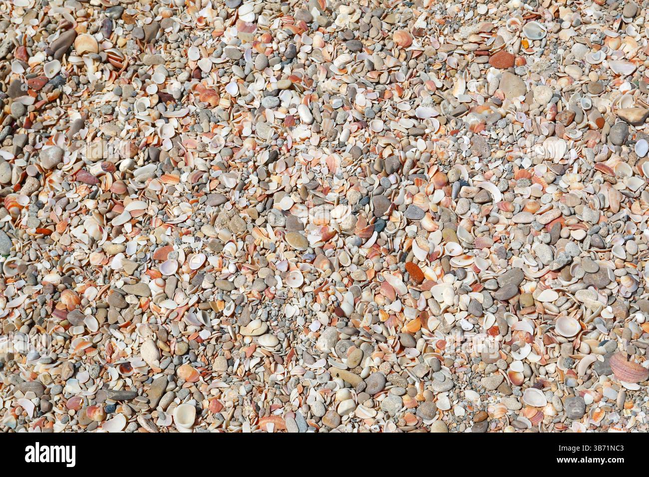 Close-up of colorful broken seashells, pebbles and sand fragments on a ...