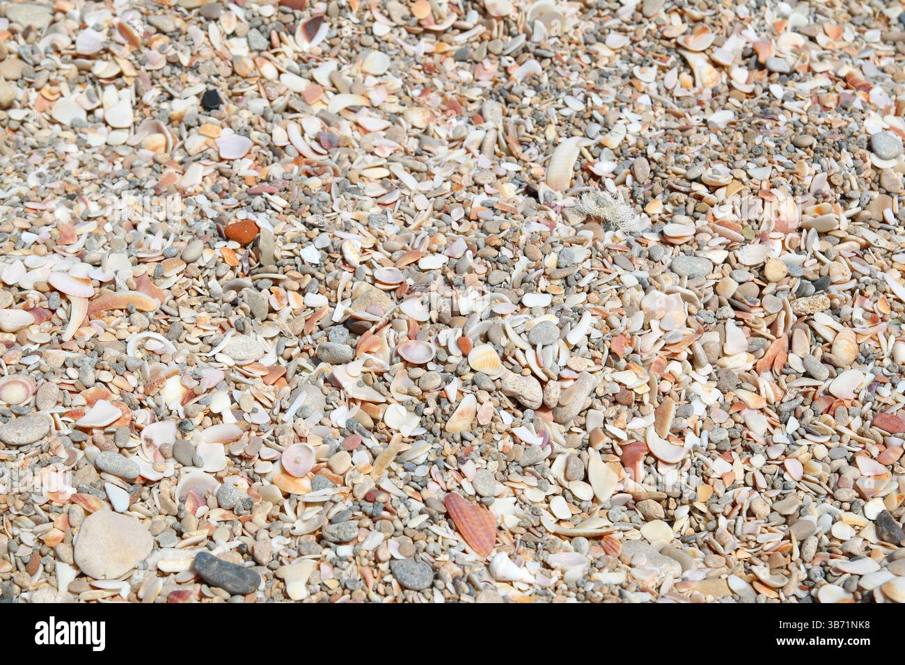 Close-up of colorful broken seashells, pebbles and sand fragments on a ...