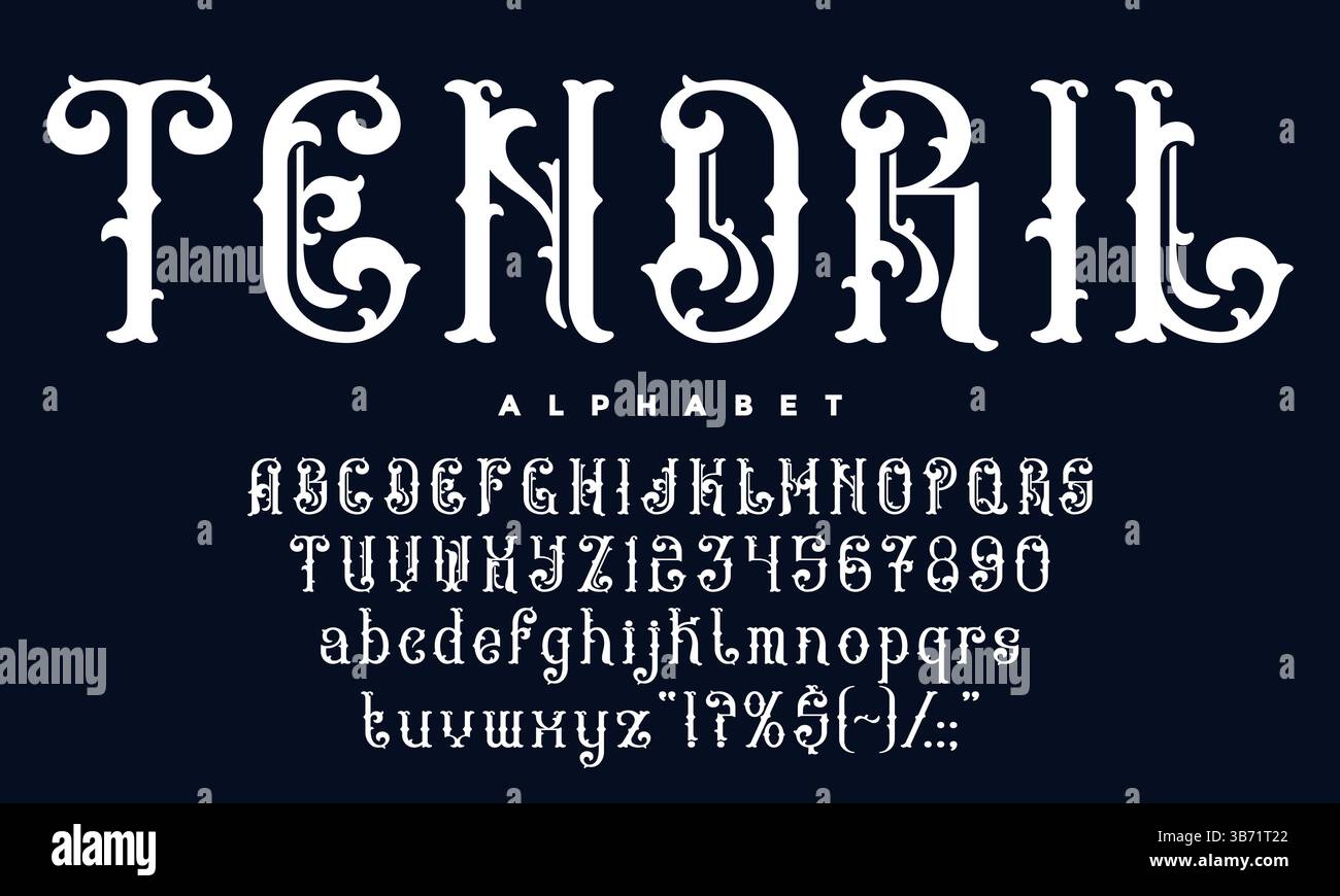 Victorian font, antique medieval typeface, vintage script type, elegant ...