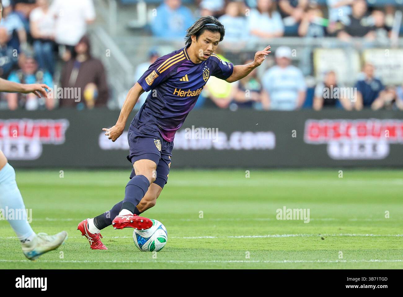 David yamane hi-res stock photography and images - Alamy