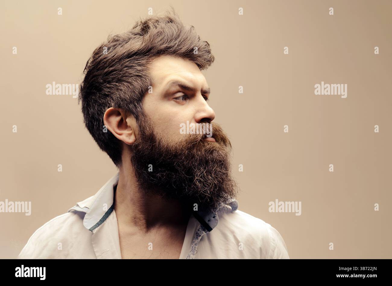 Bearded barber in barbershop, haircut, shaving. Bearded man, isolated ...