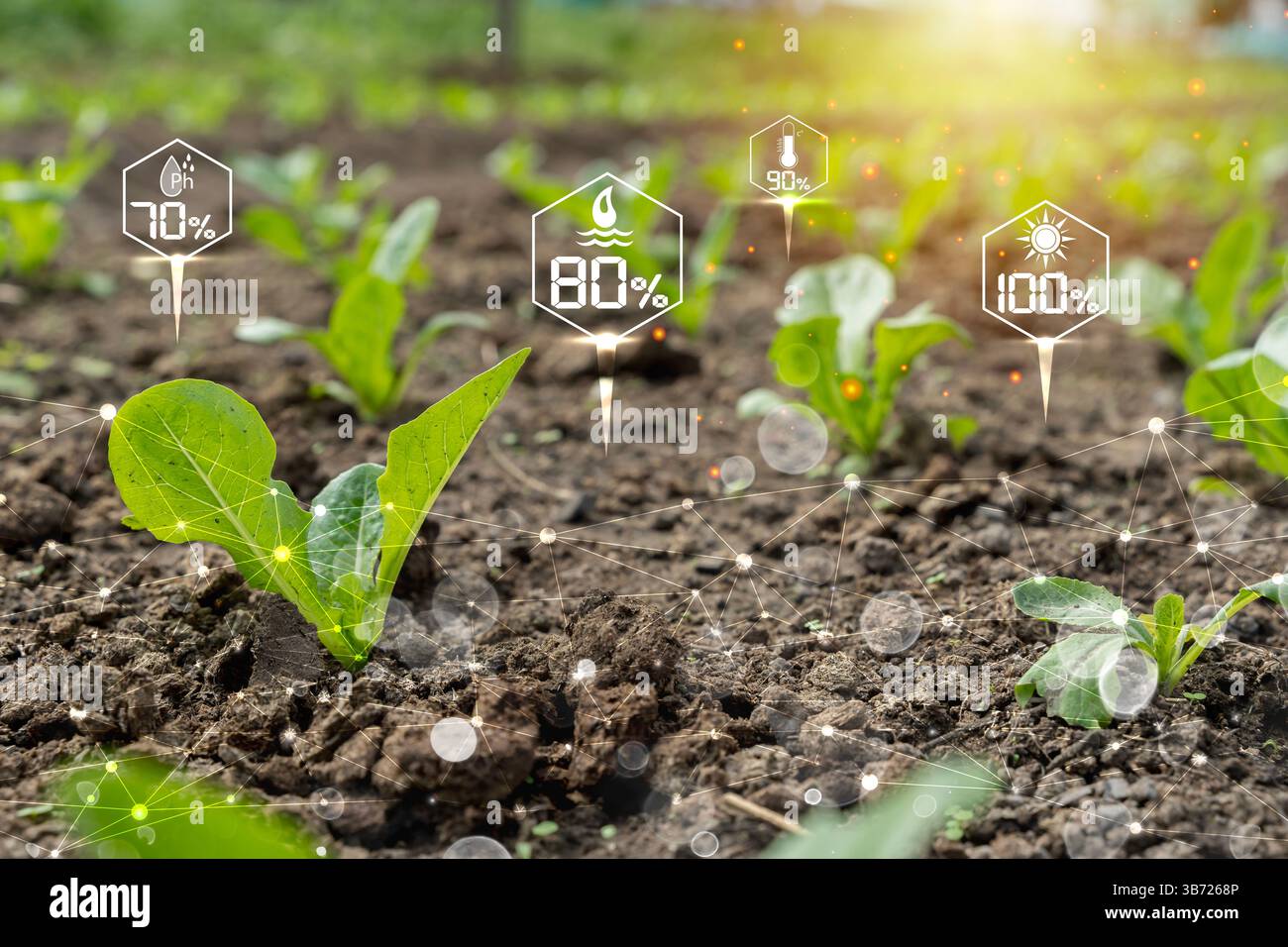 Farm Agriculture Ai Technology Monitoring Plant On Agriculture Field Smart Farming And