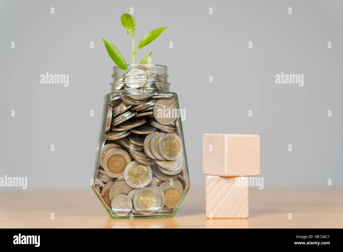 Savings and investment concept. Two overlap wooden blocks. Young plant ...