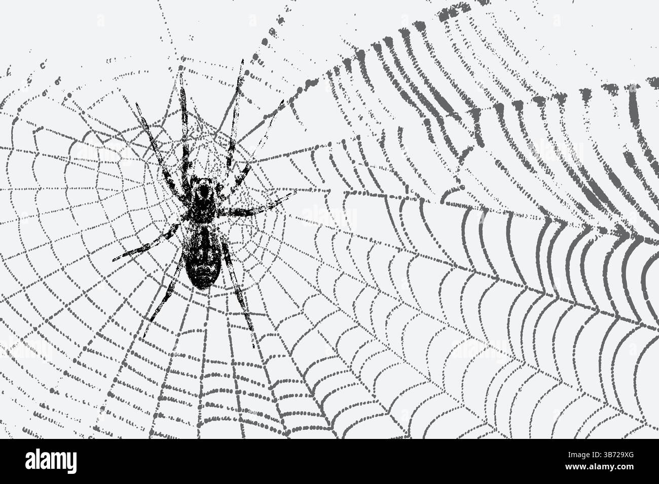 spider in a halftone stipple technique for a grunge punk Y2K collage ...