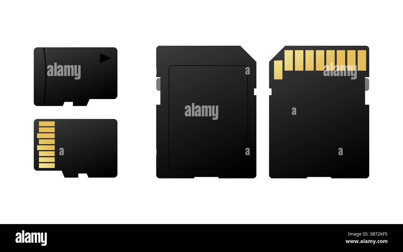 Micro SD and SD memory cards on white background, varying sizes and ...