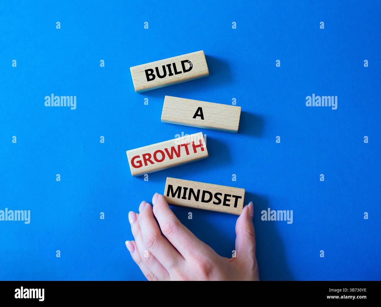 Build a growth mindset symbol. Concept words Build a growth mindset on ...