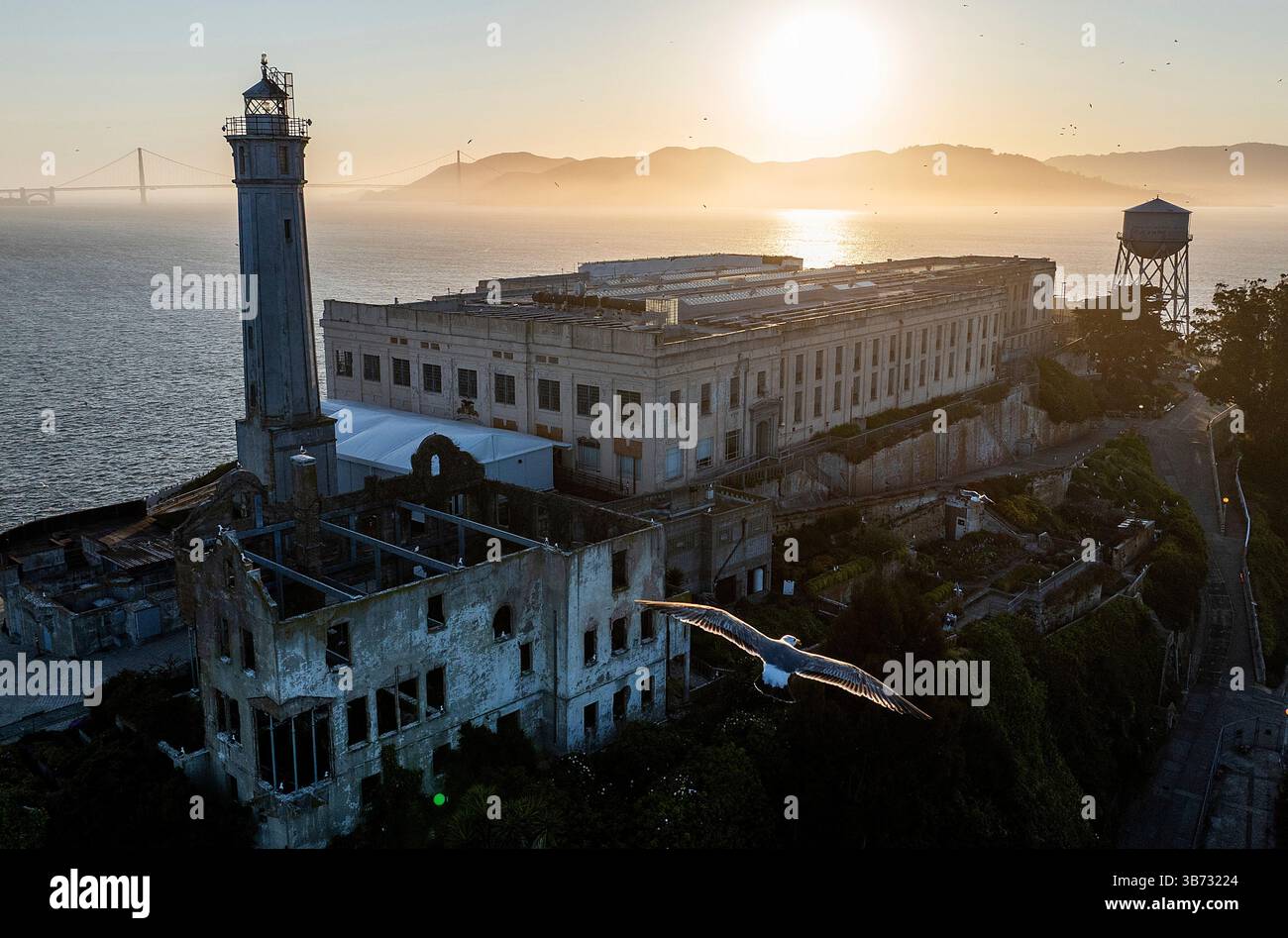A bird flies above Alcatraz Island on Sunday, May 4, 2025, in the San ...