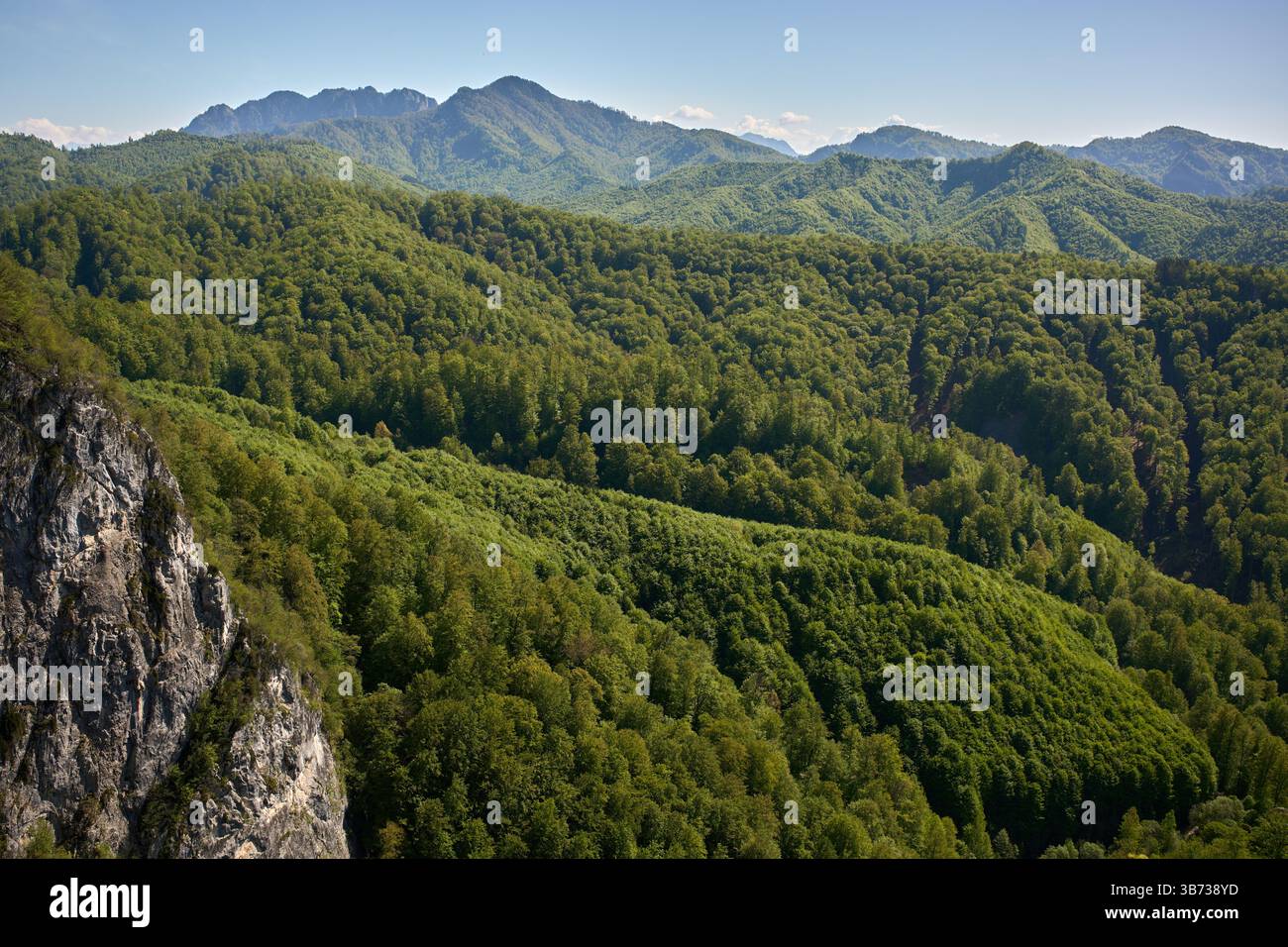 Expansive view of densely forested mountains with rocky outcrops and ...