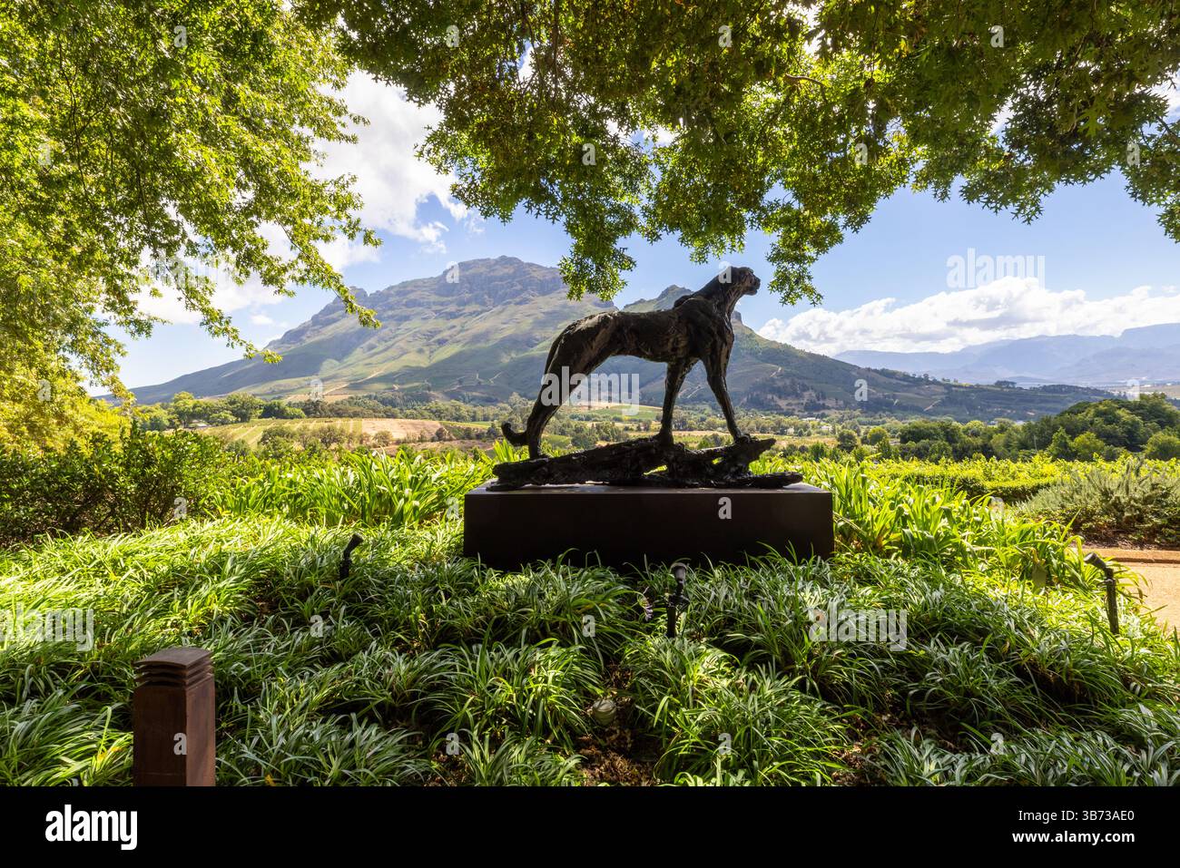 A scenic view of the Delaire Graff Wine Estate in Stellenbosch, Banhoek ...