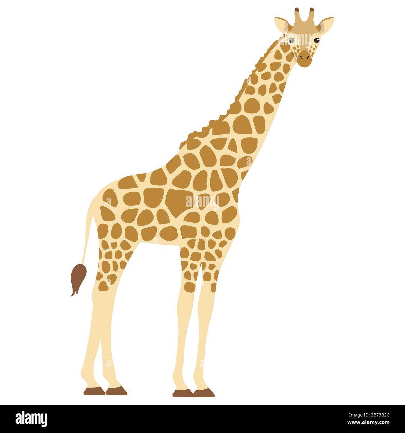 Tall long neck Cut Out Stock Images & Pictures - Alamy