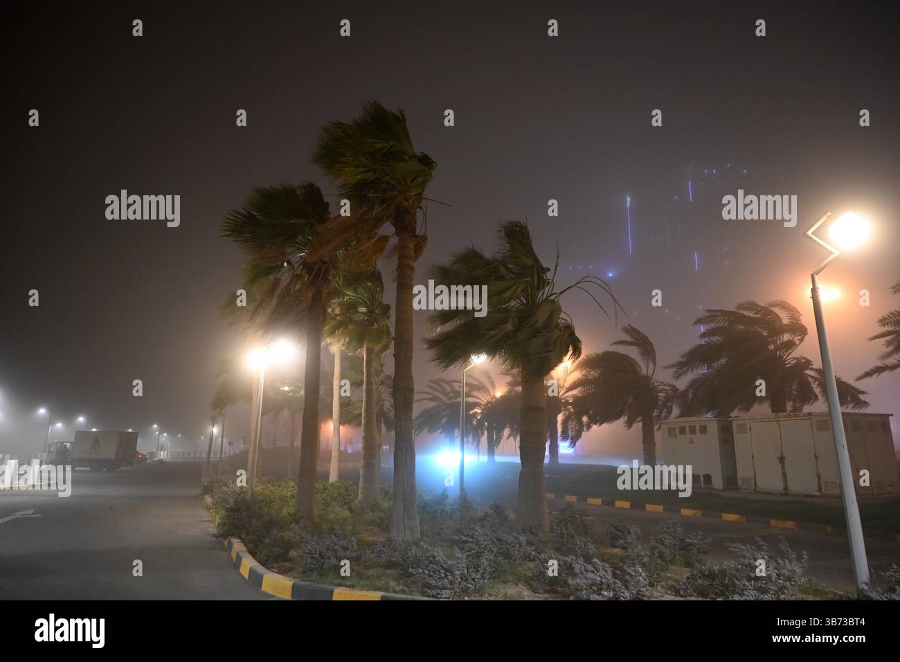 Kuwait City, Kuwait. 4th May, 2025. Palm trees are pictured during a ...