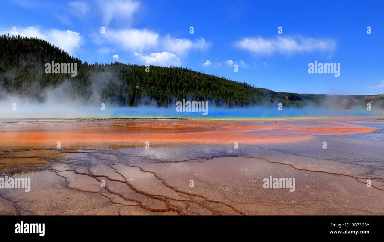 Prismapulse hi-res stock photography and images - Alamy