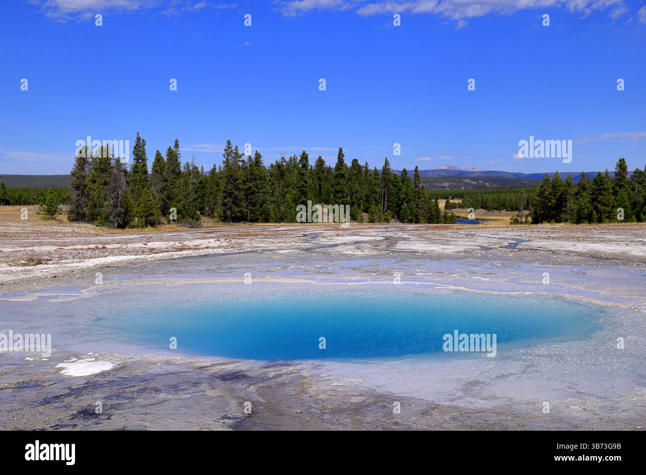 At Yellowstone's Grand Prismatic Spring, vivid thermal colors merge in ...