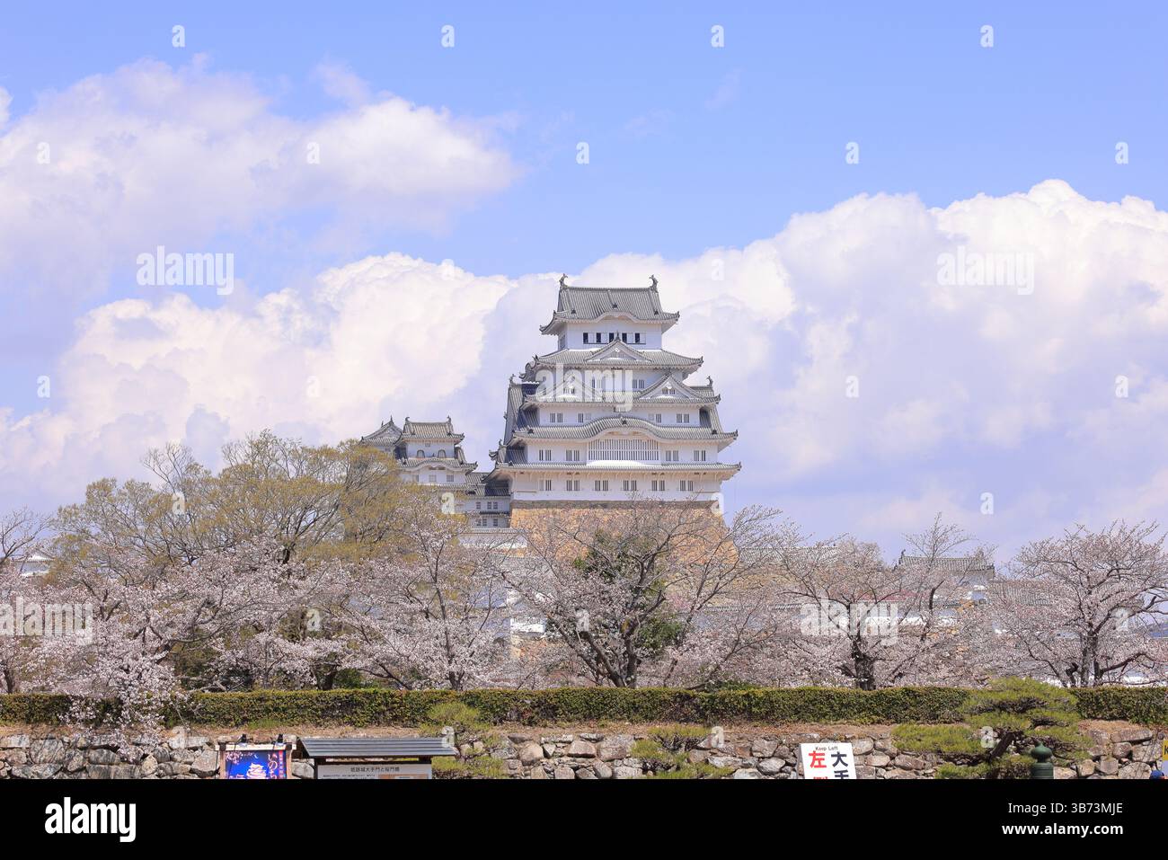 Himeji Castle with cherry blossoms an Iconic castle dated to 1333 at ...