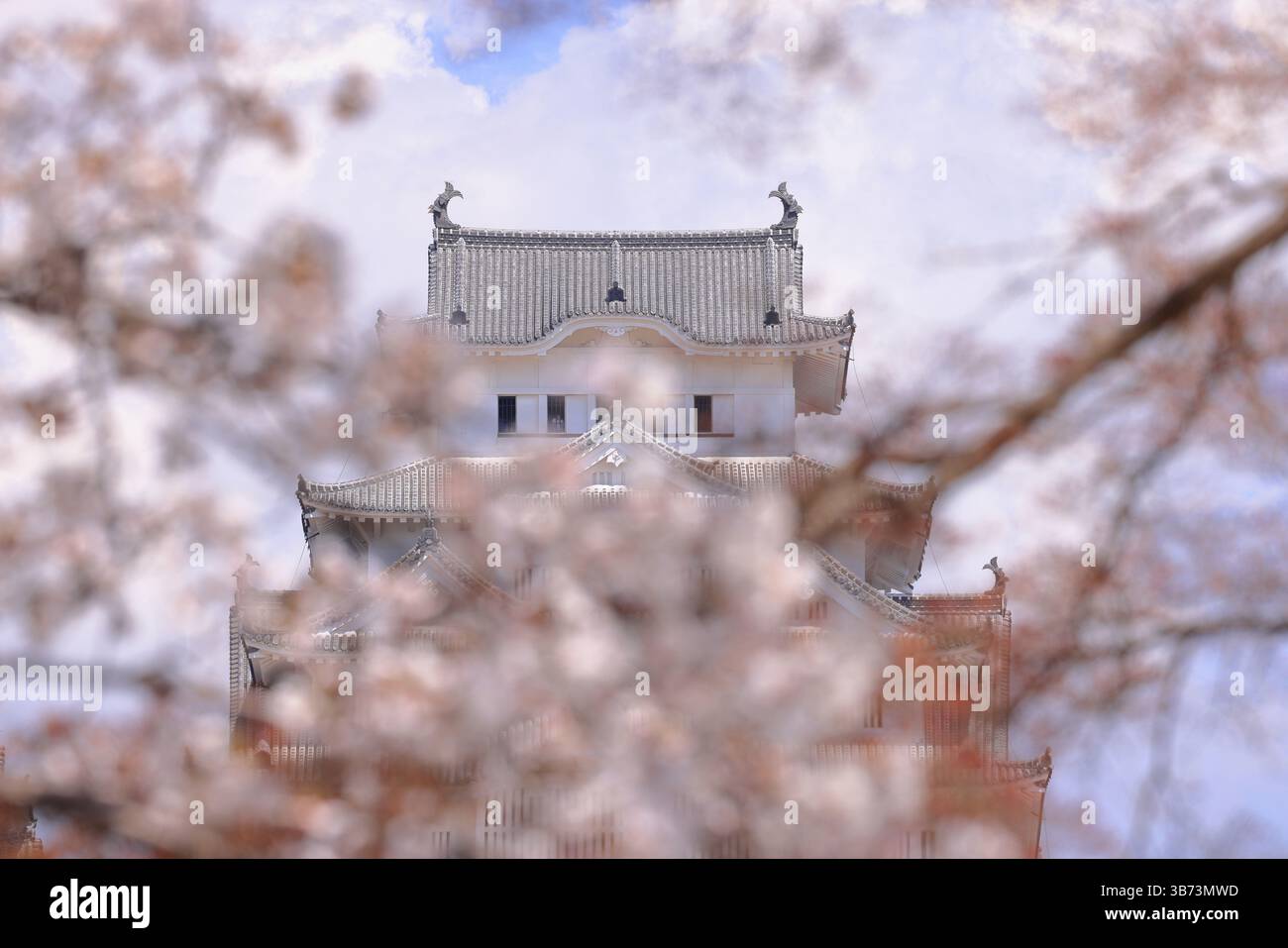 Himeji Castle with cherry blossoms an Iconic castle dated to 1333 at ...