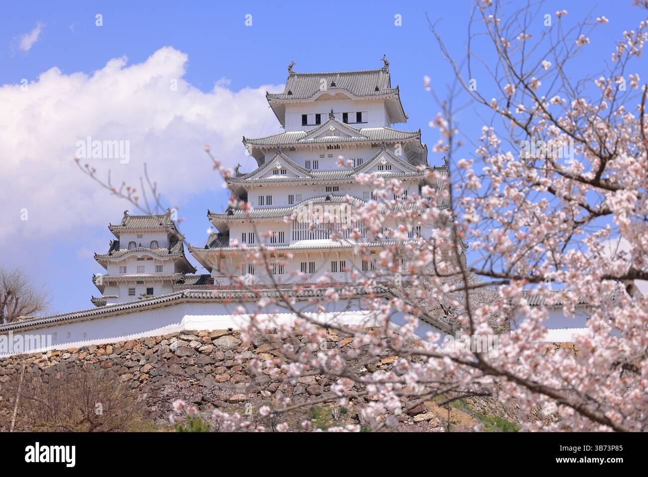 Himeji Castle with cherry blossoms an Iconic castle dated to 1333 at ...