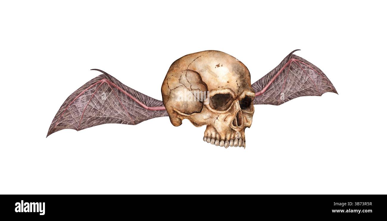 Bat skeleton illustration hi-res stock photography and images - Alamy