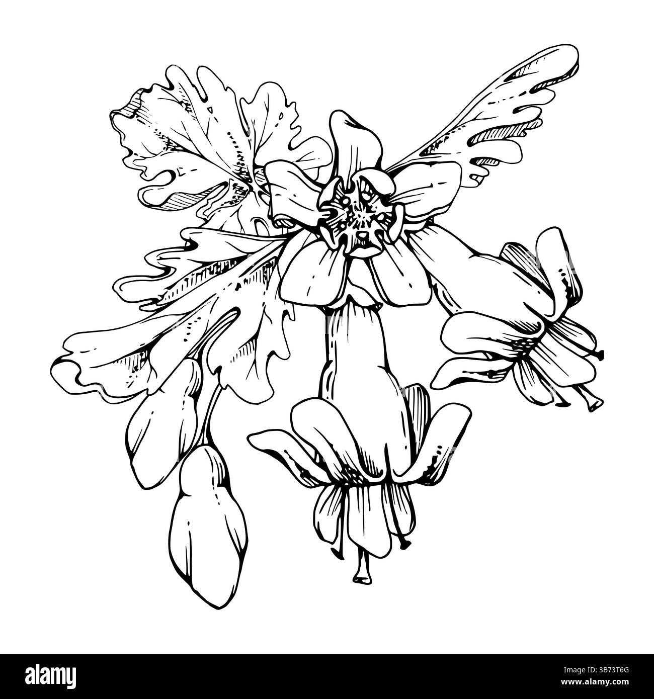 Gooseberry leaves, bell flower buds boutonniere, juneberry currant. Cut ...