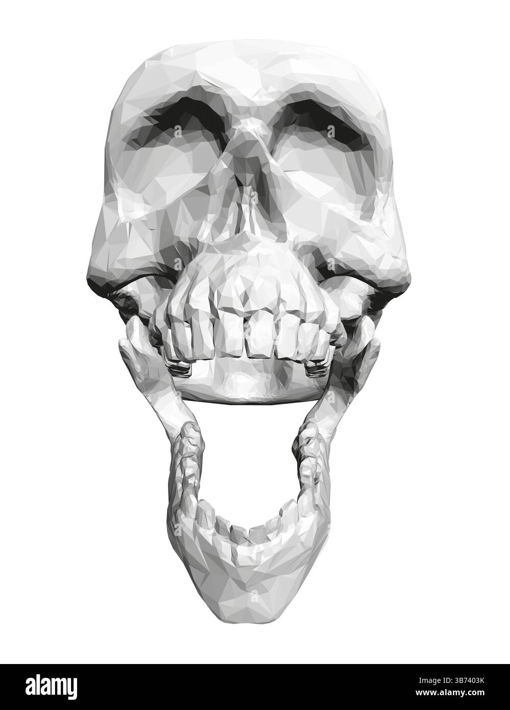 A white skull with a mouth open. The skull is in a 3D format. The skull ...