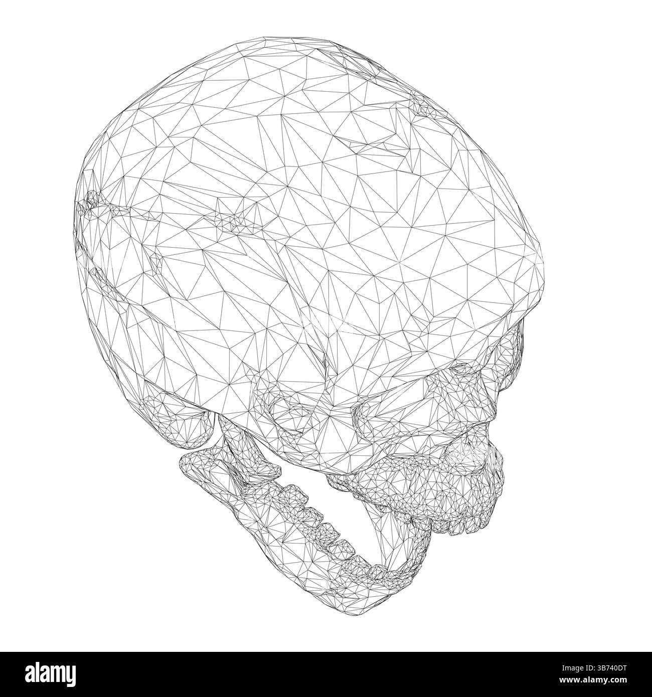 Intricate anatomy Cut Out Stock Images & Pictures - Alamy