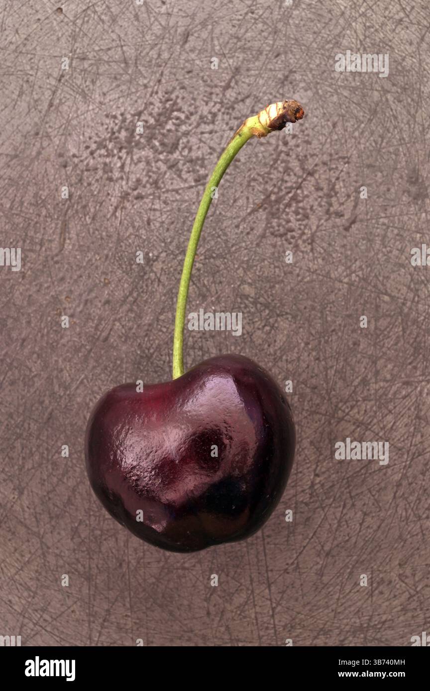 Single black cherry and stalk lying on scratched pewter Stock Photo - Alamy