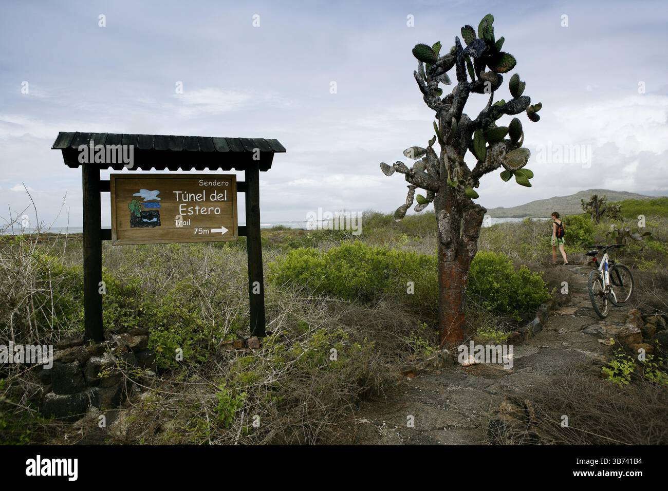 Bike path to the Western Wall, Lagrimas, Isabela island Stock Photo - Alamy