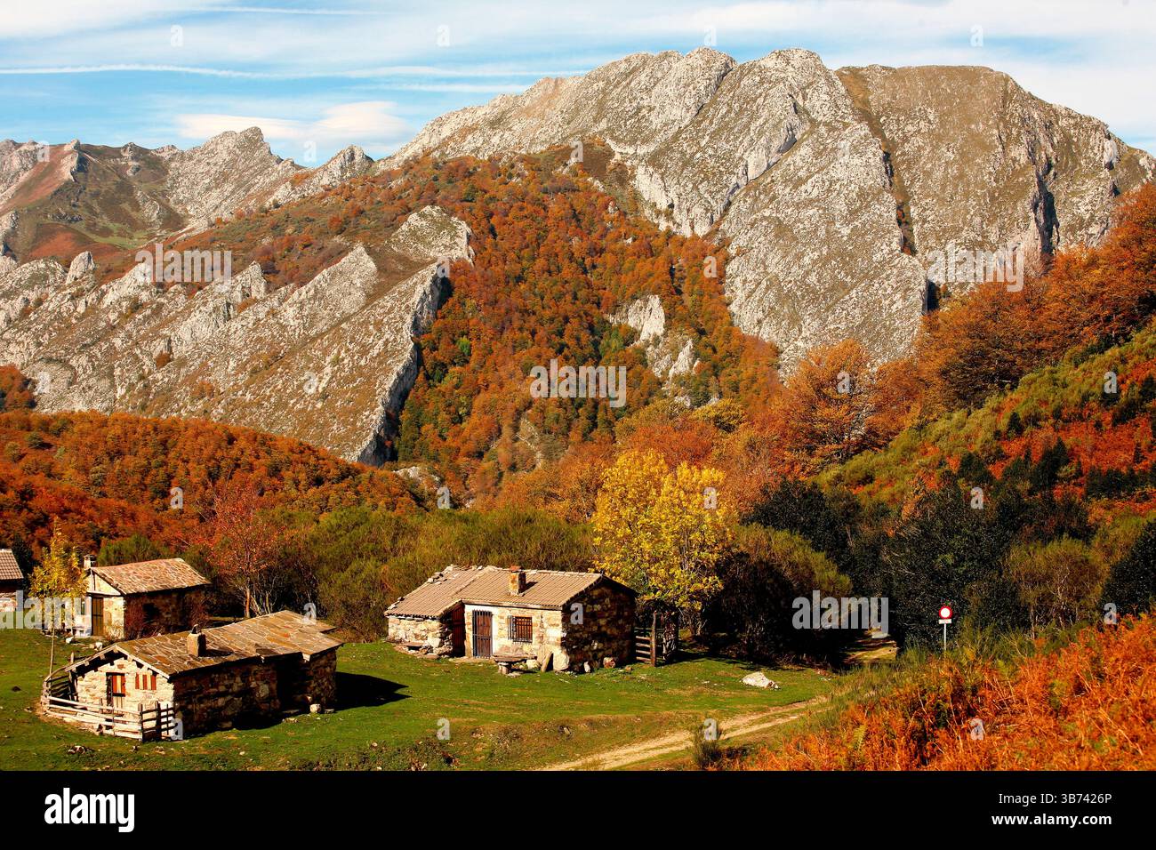 Redes forest hi-res stock photography and images - Alamy