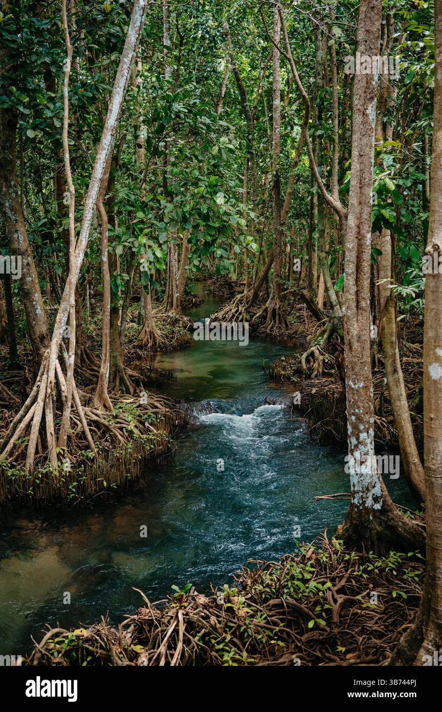 Two Water Canal in Krabi, Thailand: Tha Pom Khlong Song Nam Stock Photo ...