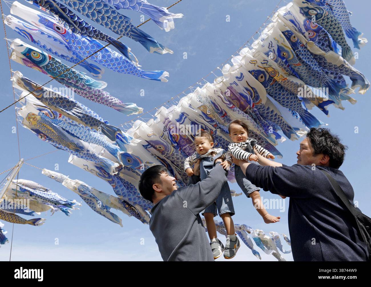 Carp streamers fly above a field in Higashimatsushima, a Miyagi ...