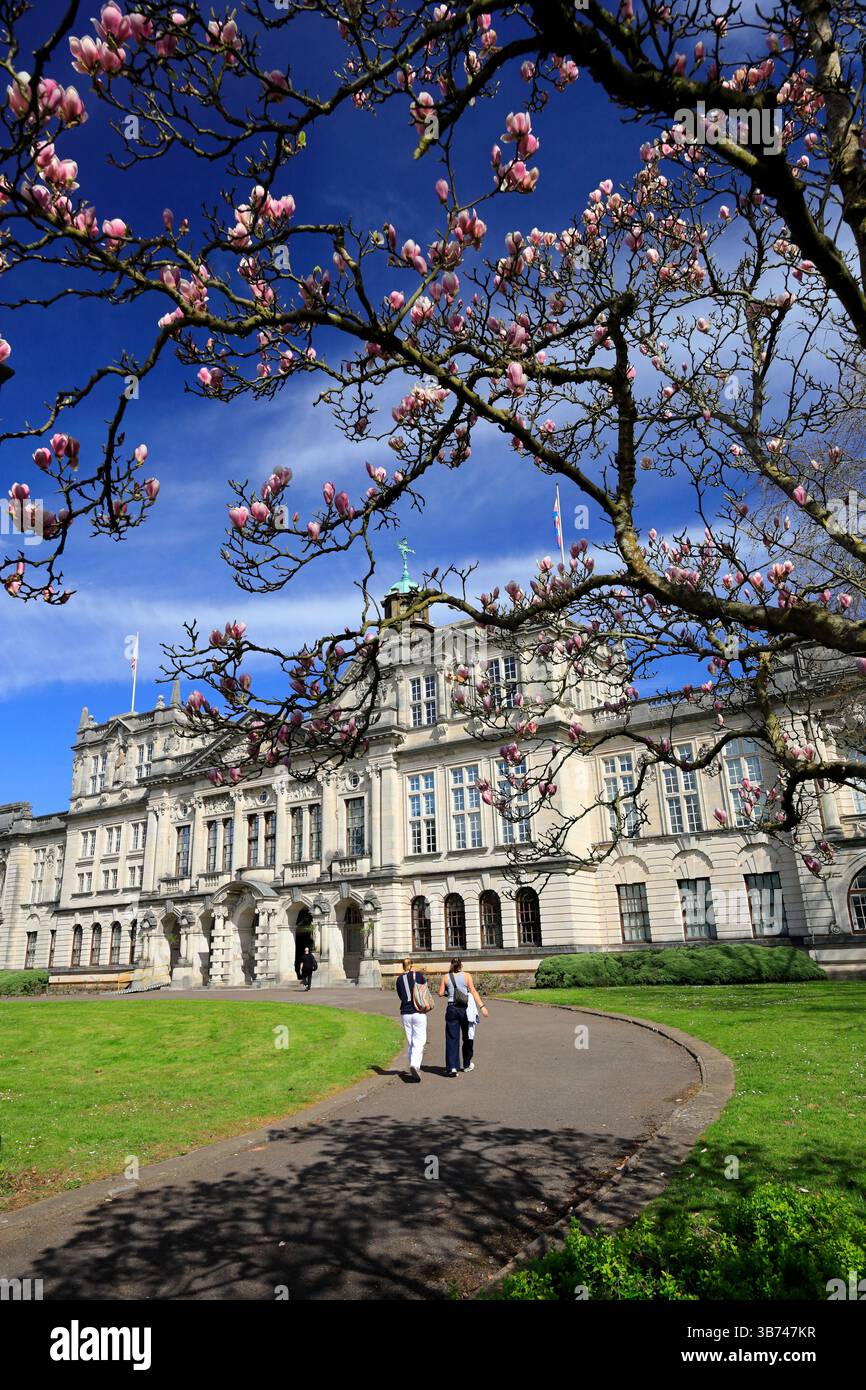 Cardiff university building Cathays Park, Cardiff, South Wales Stock ...