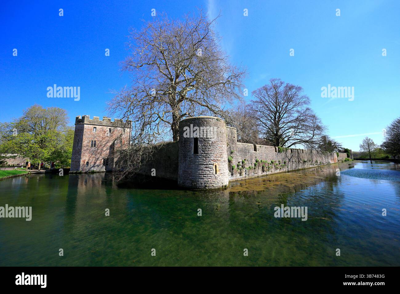 Bishops Palace and Moat, Wells, Somerset Stock Photo - Alamy
