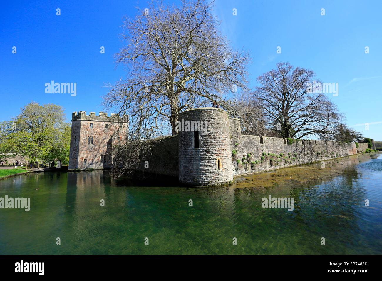 Bishops Palace and Moat, Wells, Somerset Stock Photo - Alamy