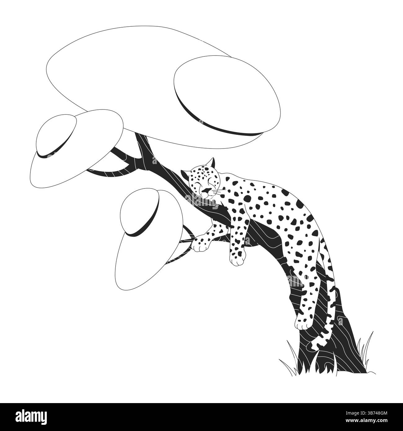 White black spotted leopard Stock Vector Images - Alamy
