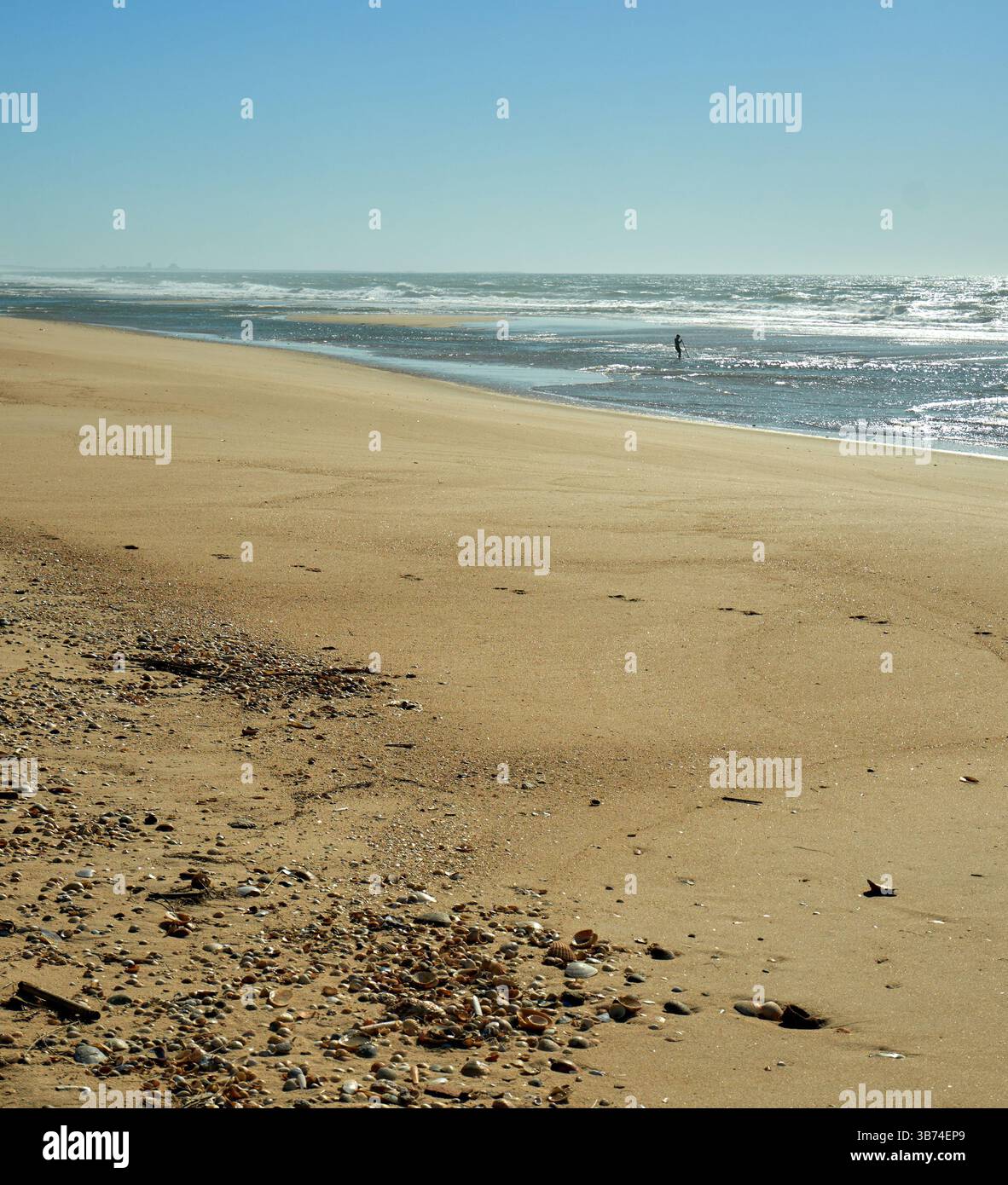 Beautiful deserted sandy beach with sea shells on Praia da Ilha de ...