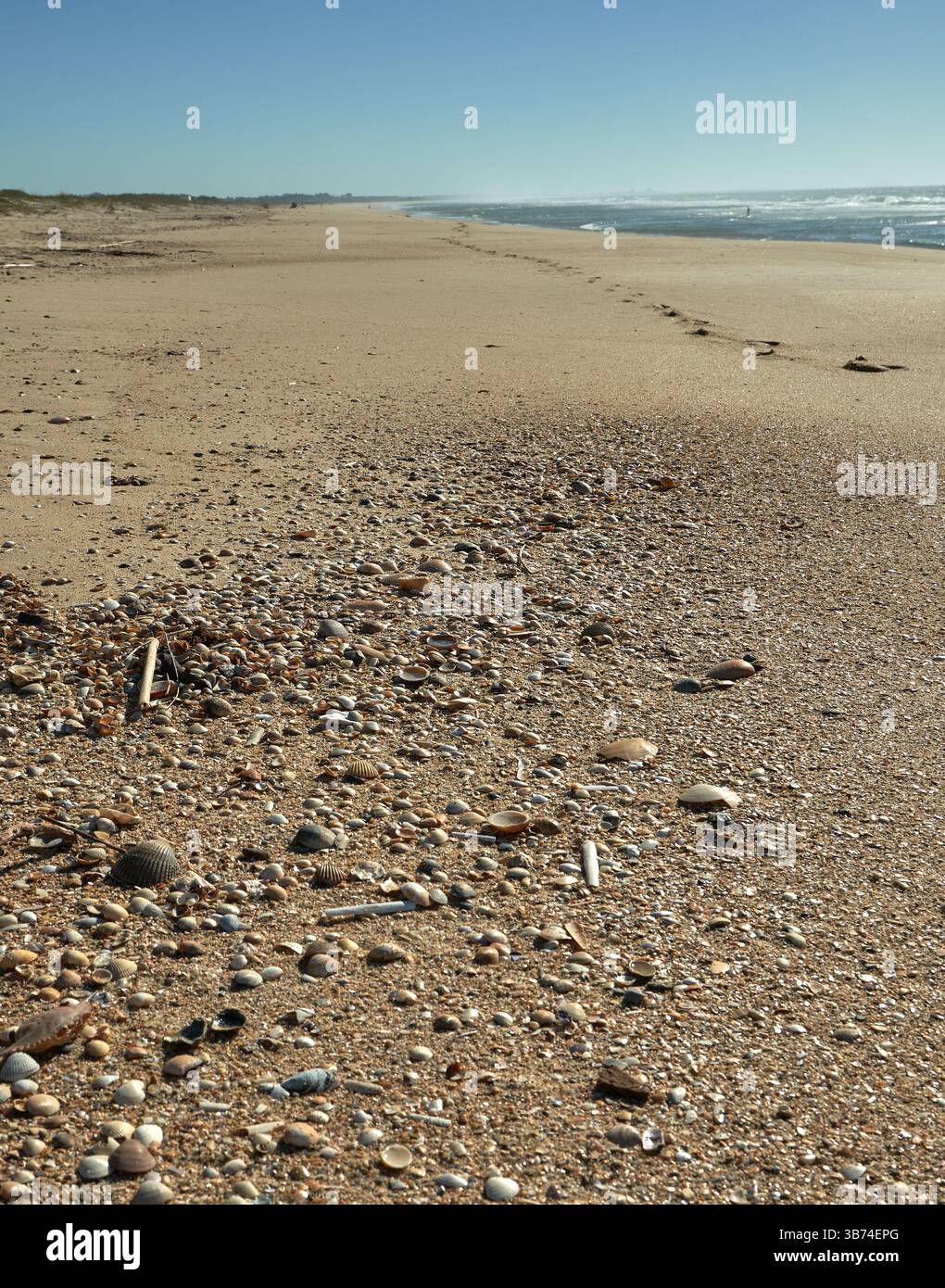 Beautiful deserted sandy beach with sea shells on Praia da Ilha de ...