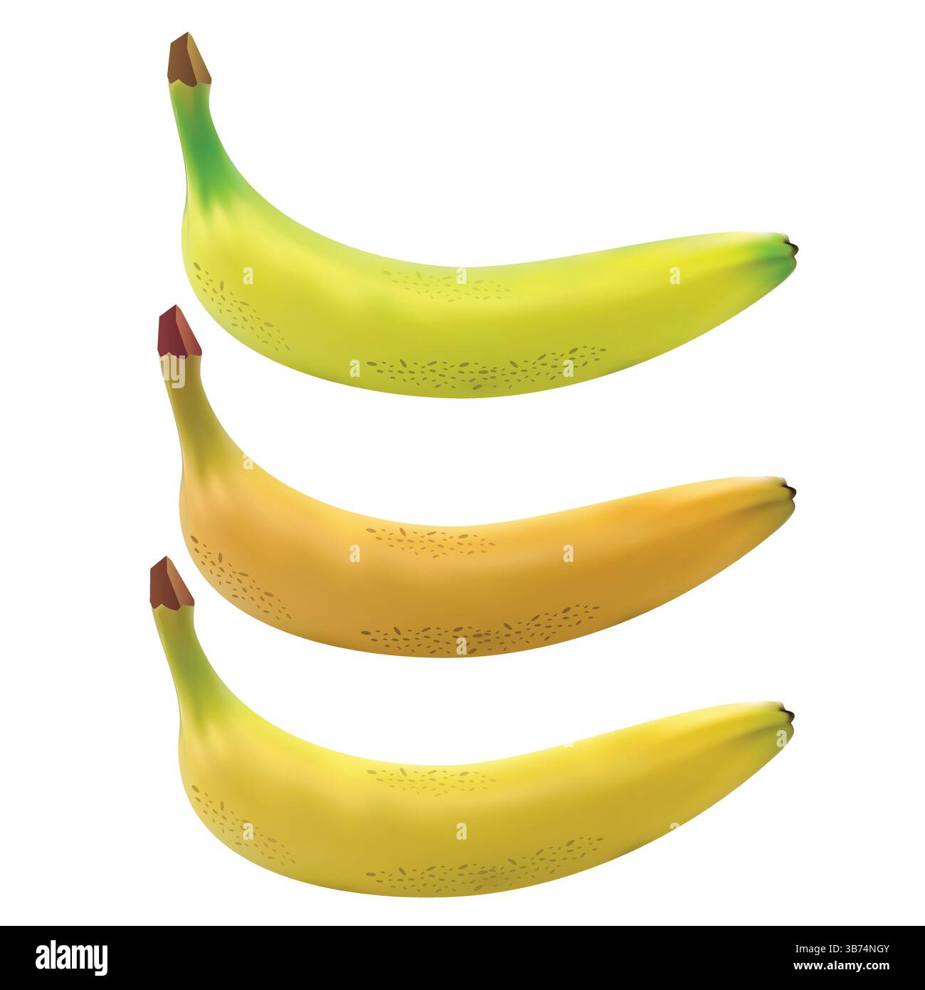 Set of three ripe and unripe bananas vector illustration Stock Vector Image & Art - Alamy