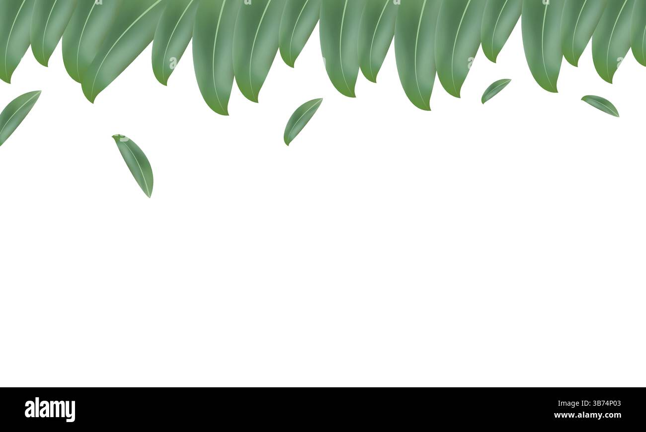 Realistic Falling Green Leaves Border, Nature-Inspired Background for ...