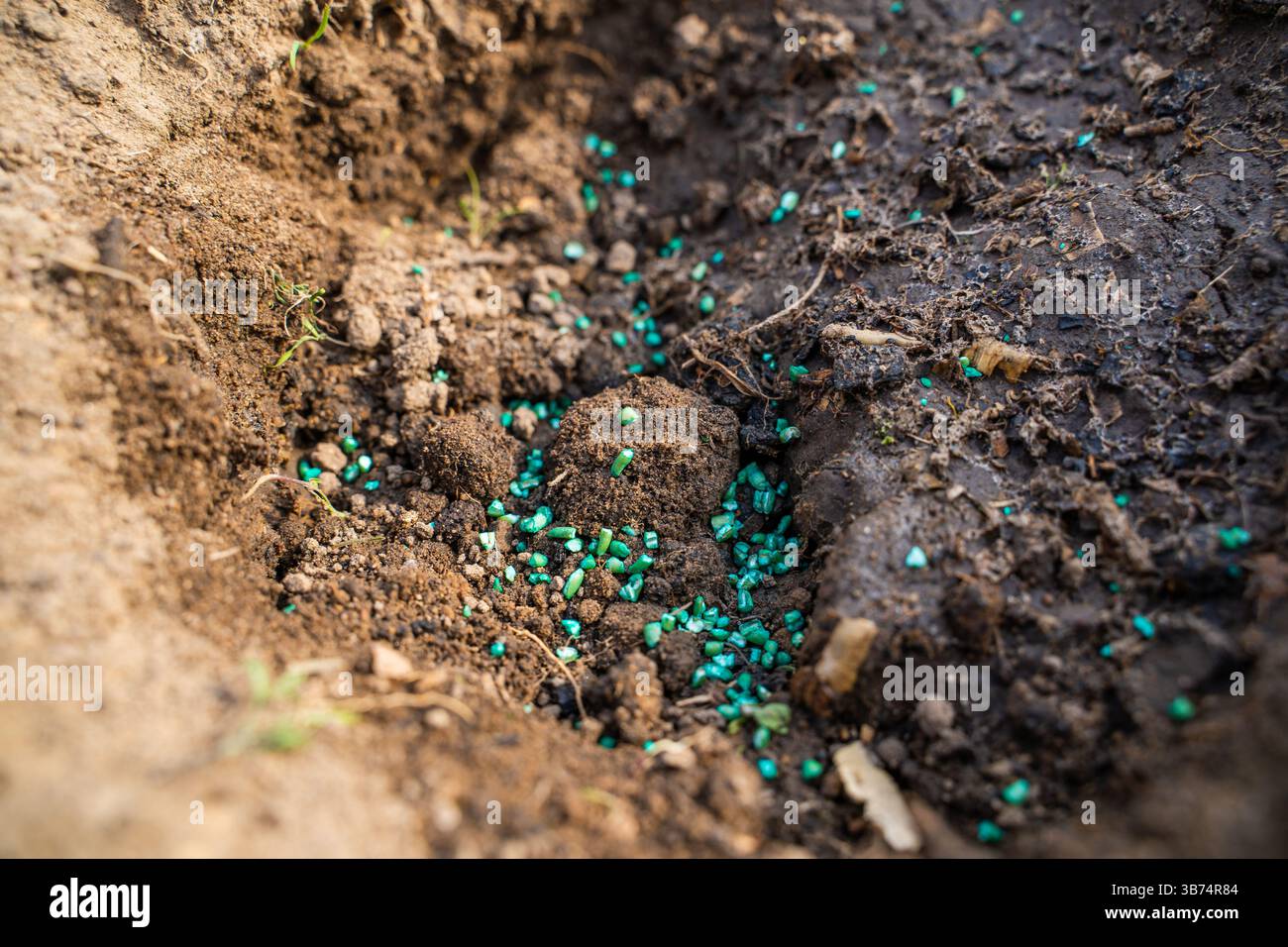 Granular pesticide hi-res stock photography and images - Alamy