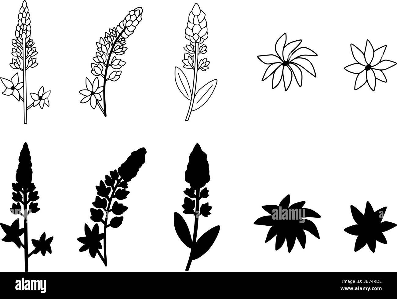 Lupine Flower Silhouette Set – Flat Vector Lupin Outline Illustrations ...