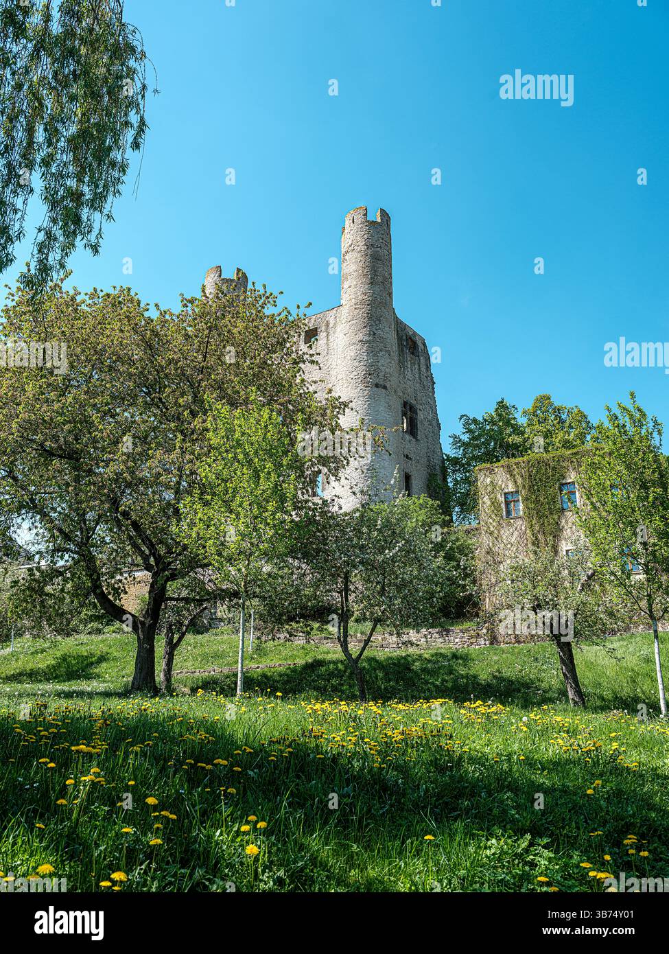 Saalfelder hohe hi-res stock photography and images - Alamy