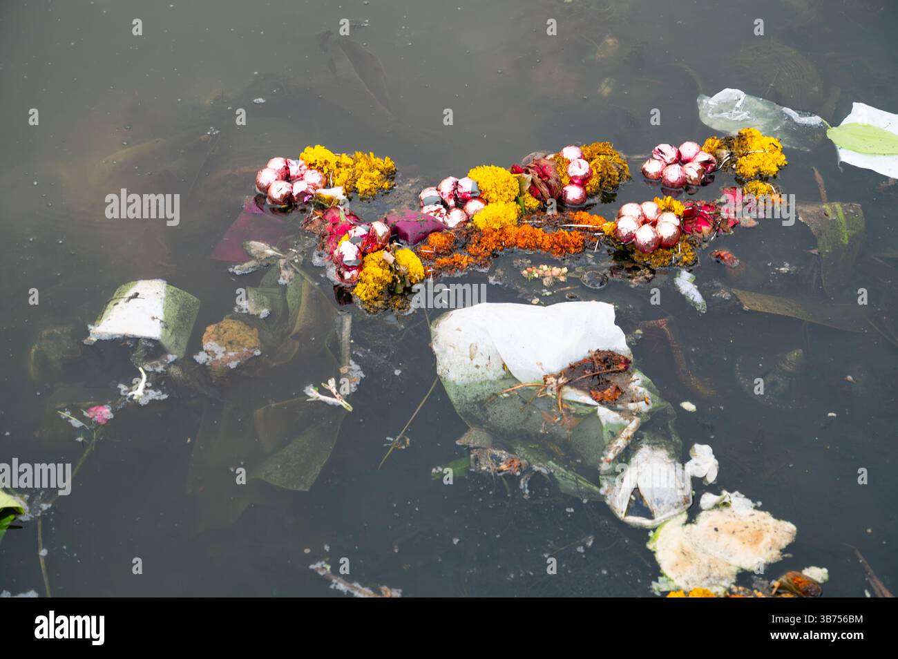 Plastic waste and environment, religious offering polluting the water ...