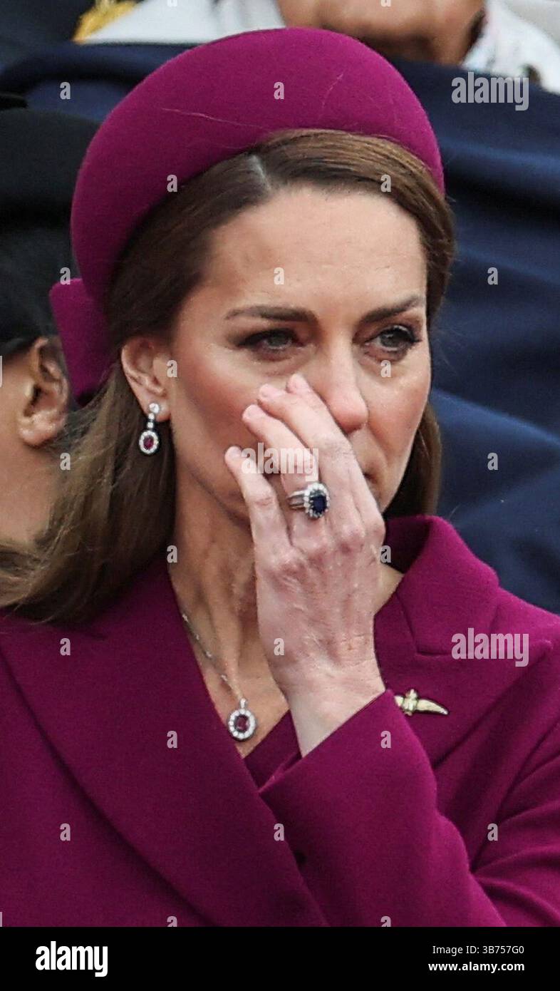 The Princess of Wales attending the armed forces and veterans' parade ...