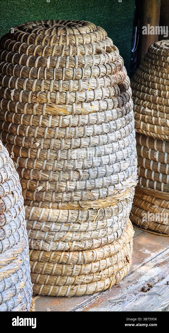 Traditional beehive made of straw in botanical garden "Hortus Botanicus ...