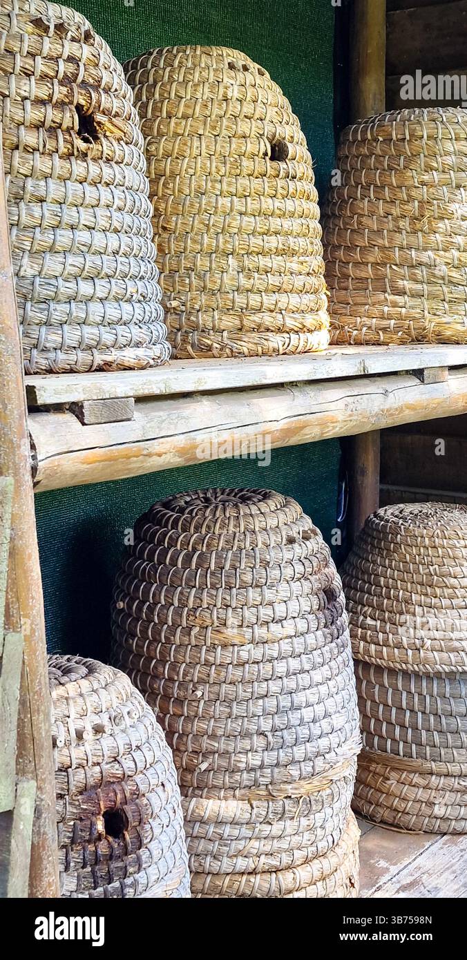Straw beehives in an apiary Stock Photo - Alamy