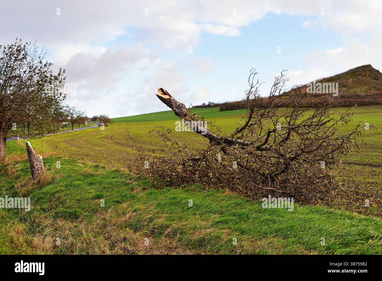Field alongside country road in hi-res stock photography and images - Alamy