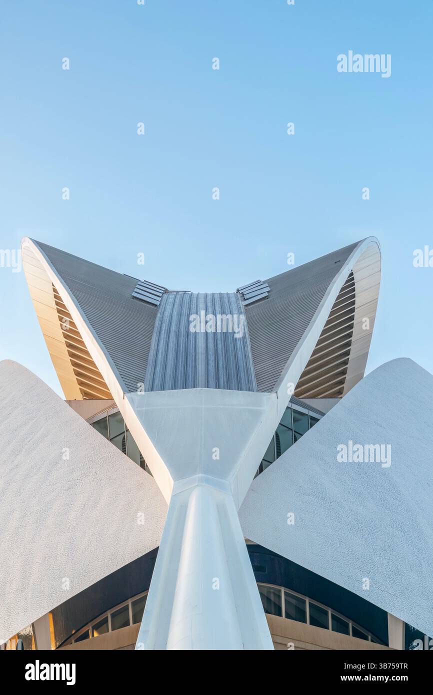 Rooftop design of the Palau de les Arts Reina Sofia in Spain ...