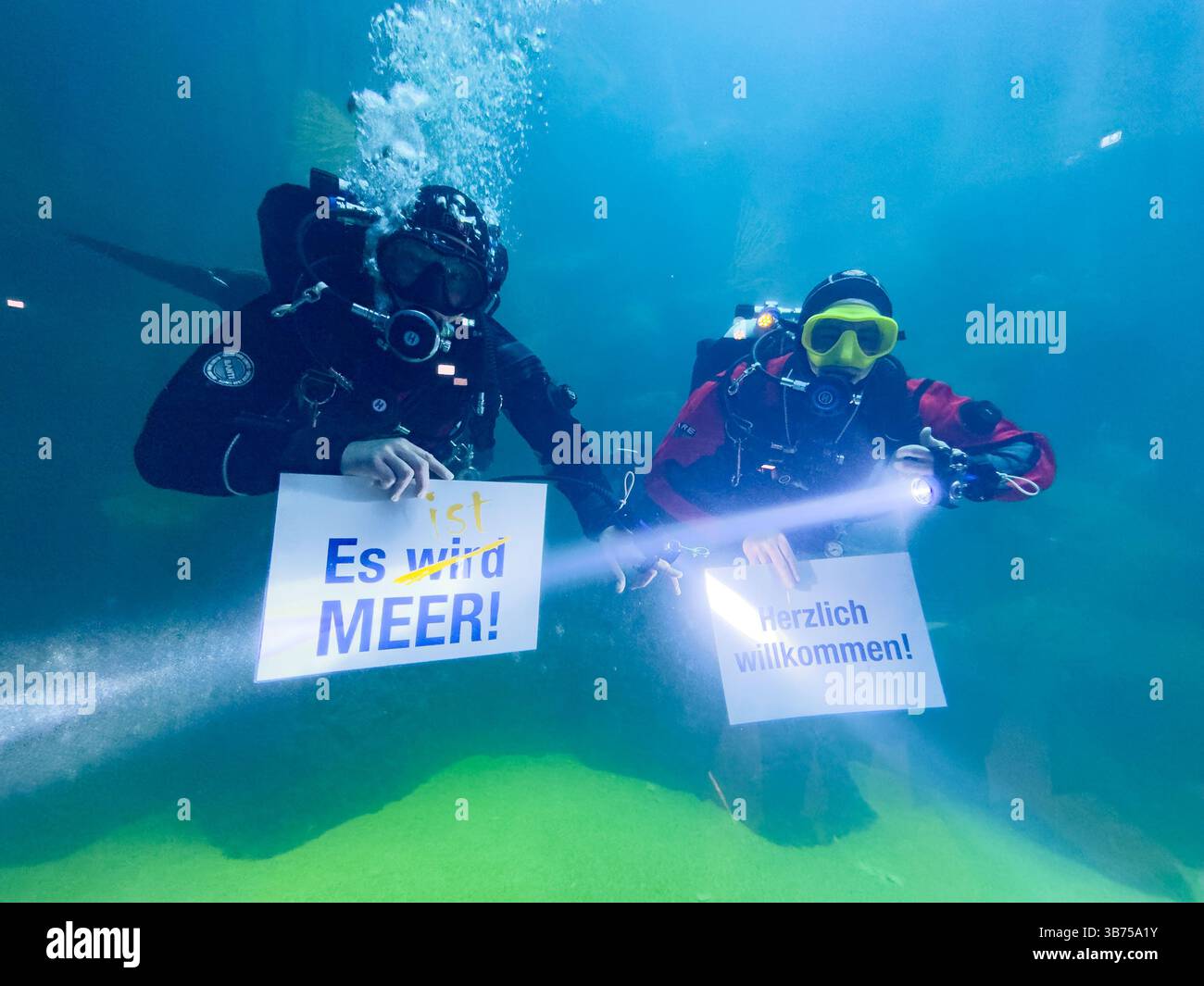 Stralsund, Germany. 05th May, 2025. Divers swim behind the eight-metre ...